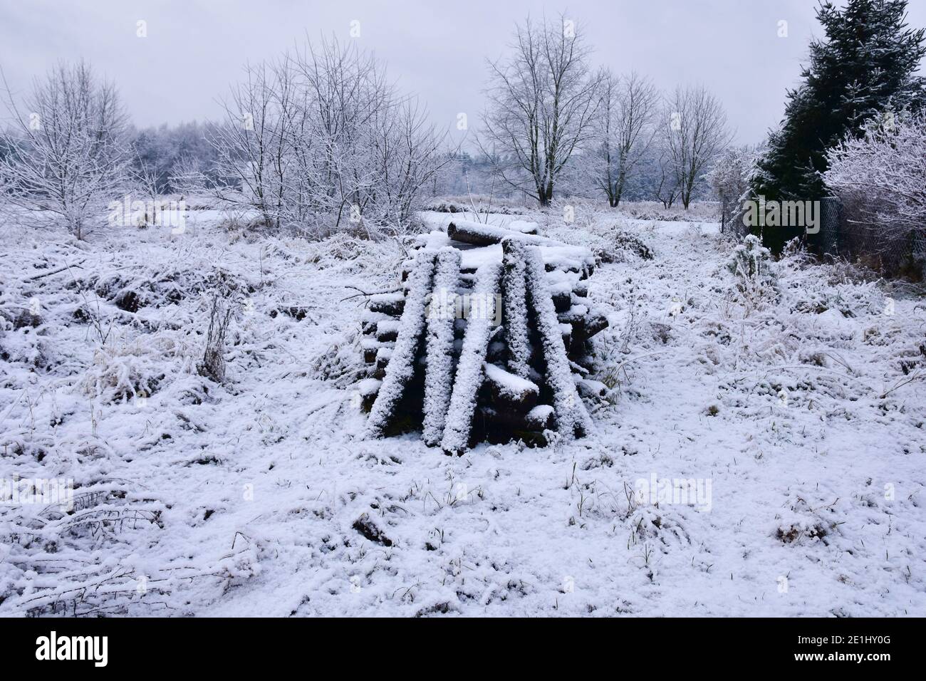 Garden scenery scene hi-res stock photography and images - Alamy