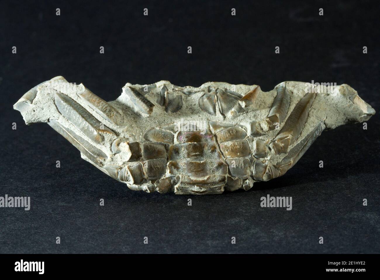 Legs underneath bed hi-res stock photography and images - Alamy