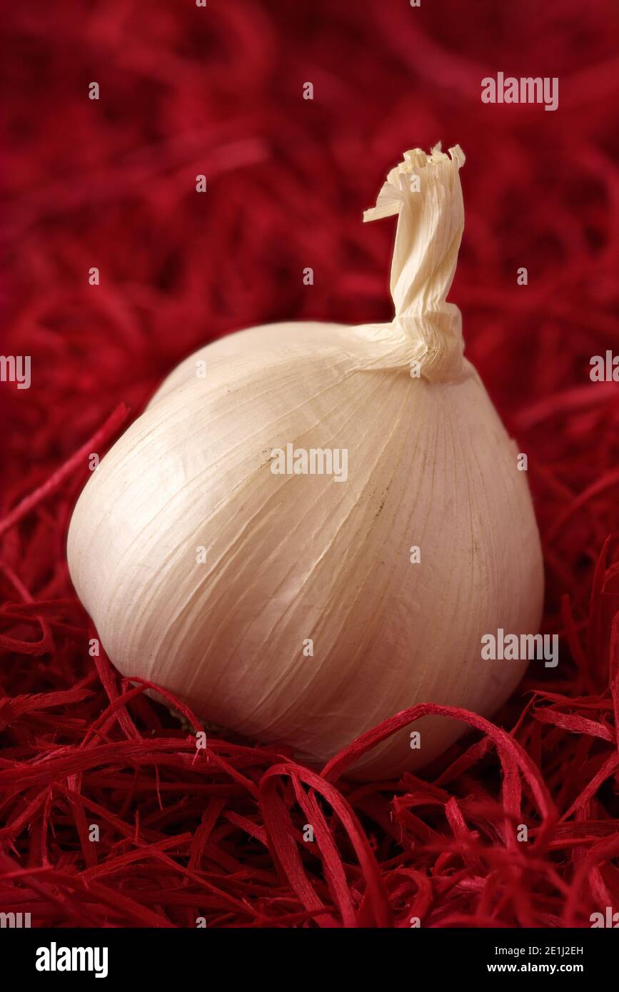 garlic with decoration Stock Photo - Alamy
