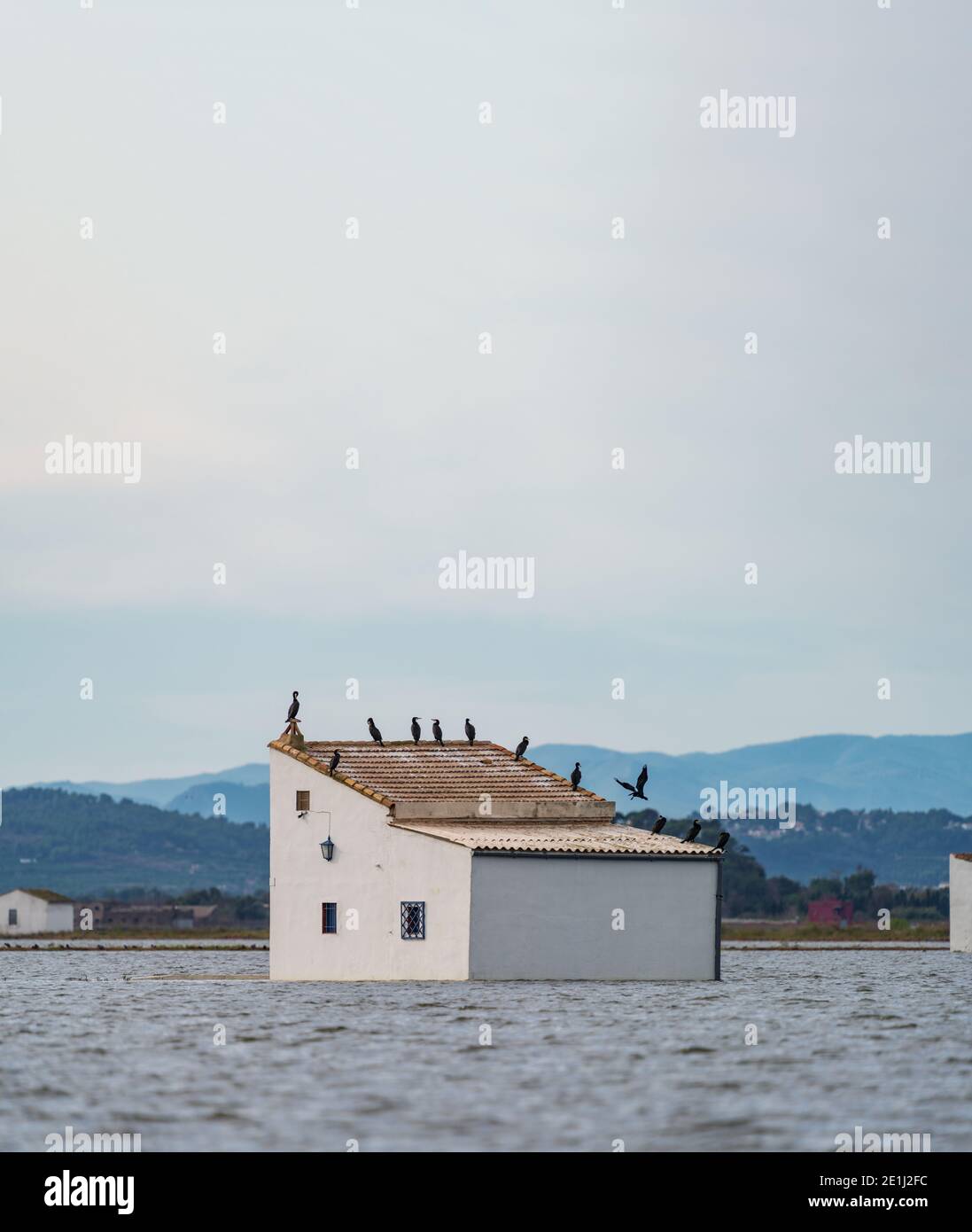 Flooded roof hi-res stock photography and images - Alamy