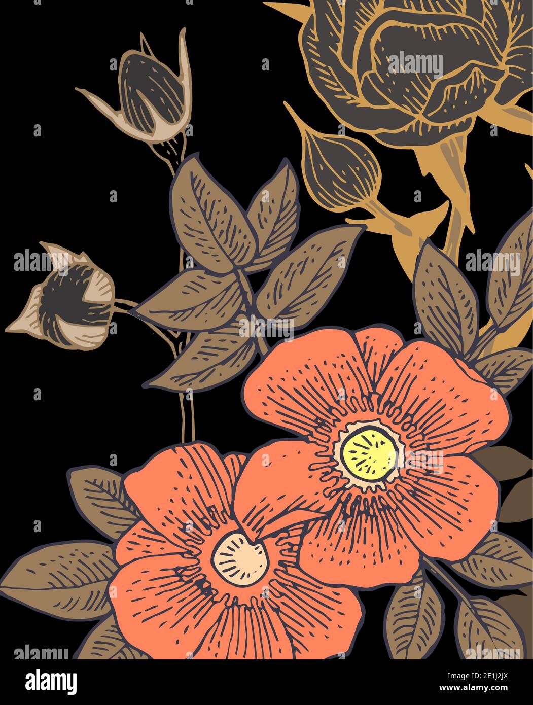 Rosehip flowers. Background illustration. Hand drawing outline ...