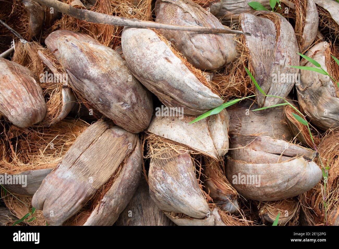 Smashed coconut hi-res stock photography and images - Alamy