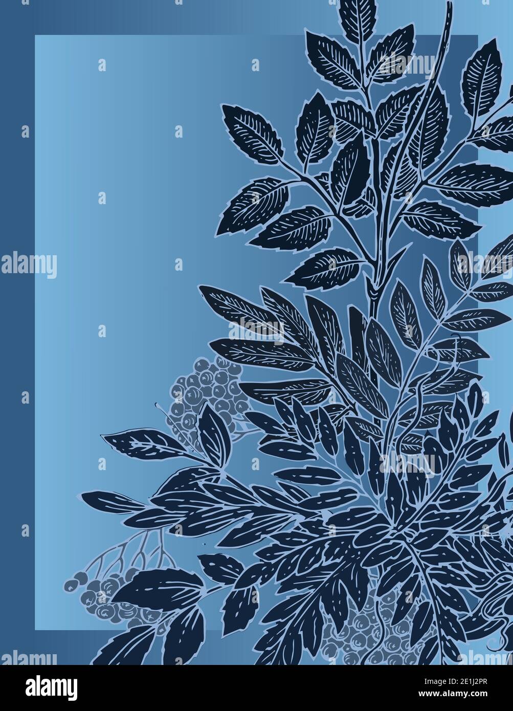 Branches and fruits of mountain ash. Background illustration. Hand ...