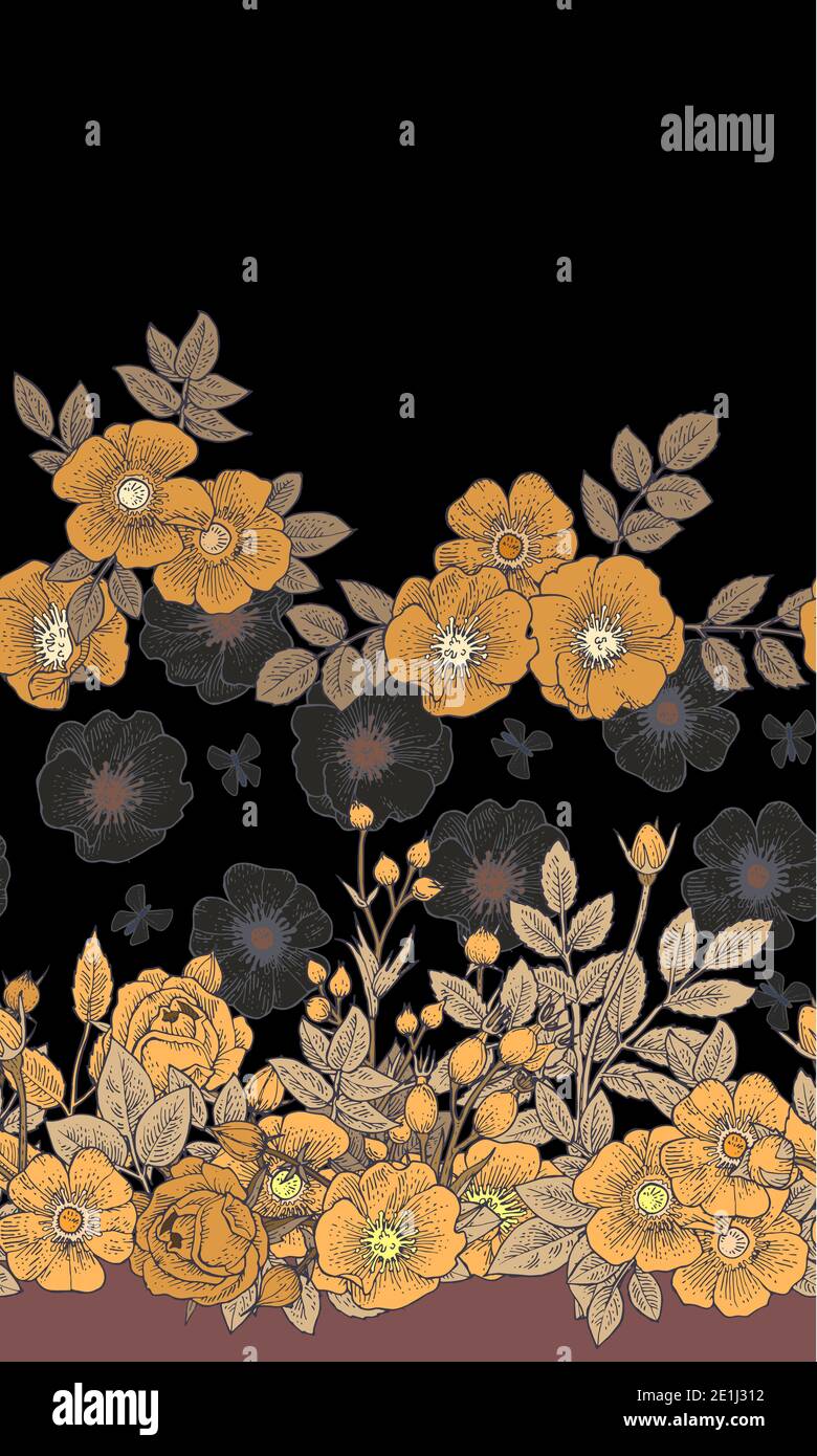 Rosehip flowers. Seamless frame. Background illustration. Hand drawing ...