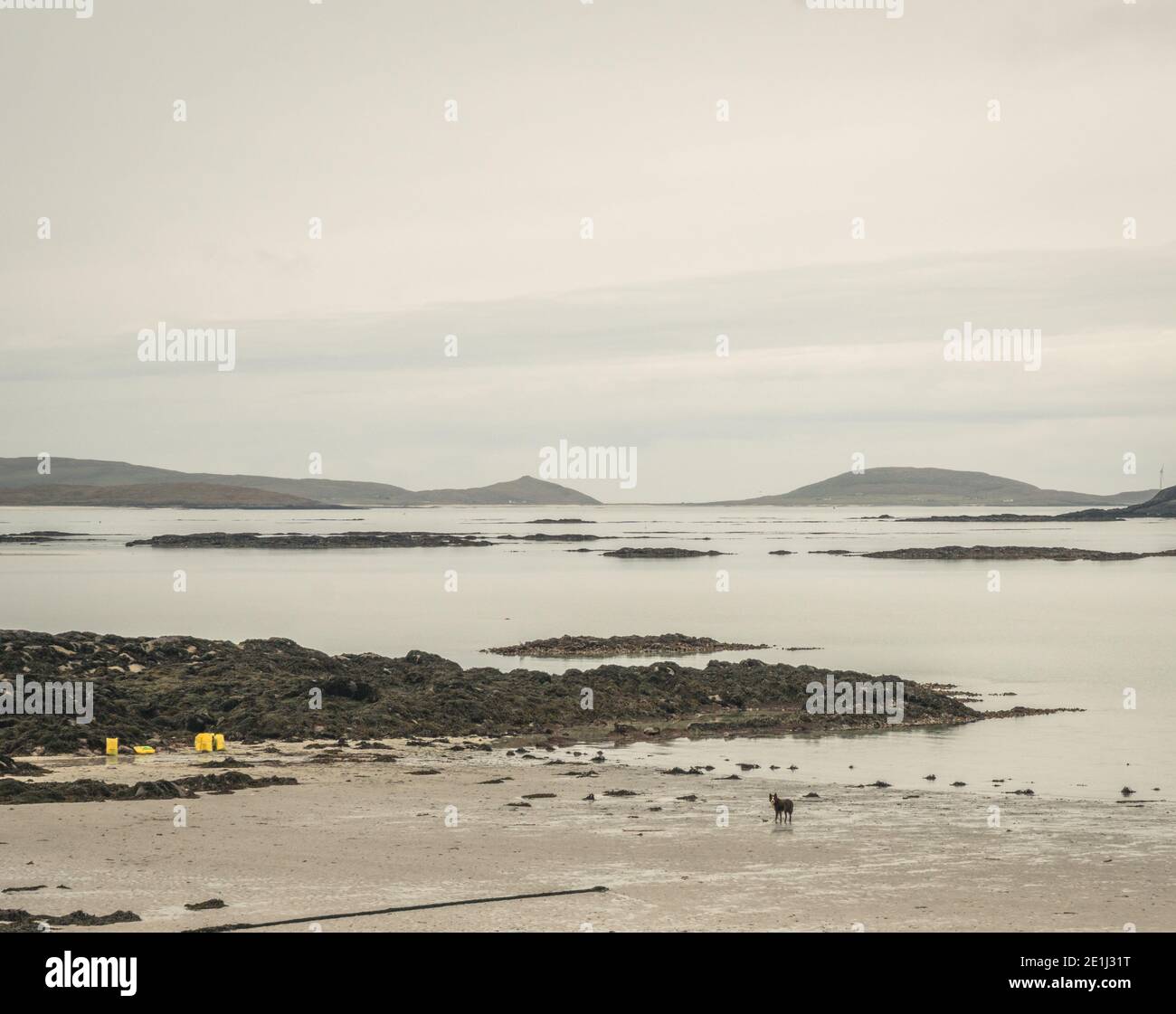 Gàidhlig hi-res stock photography and images - Alamy