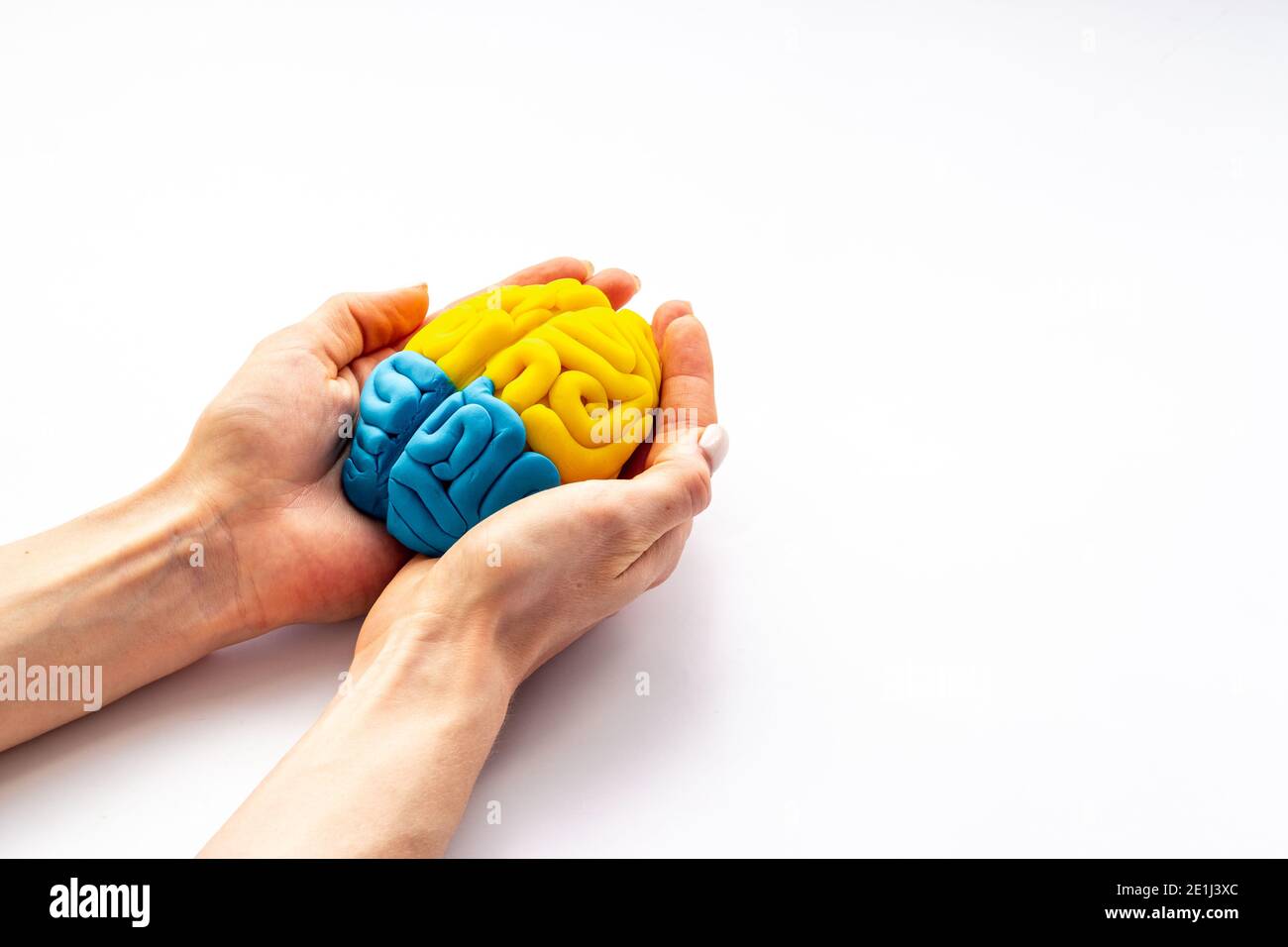 Human brain. Model of clay. Mental health background Stock Photo - Alamy