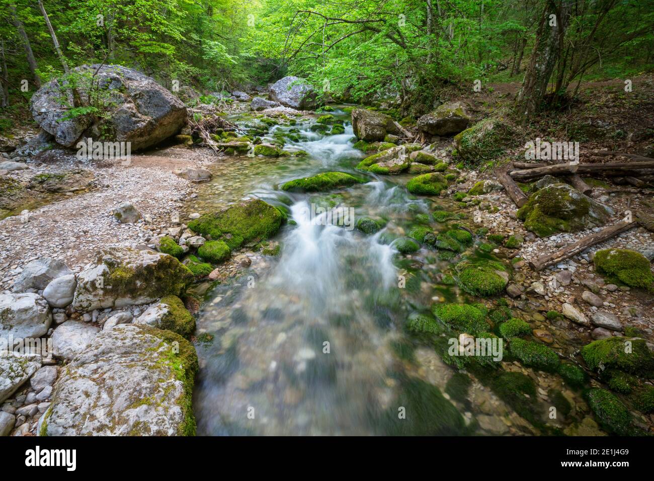 Fast stream in the green woods Stock Photo - Alamy