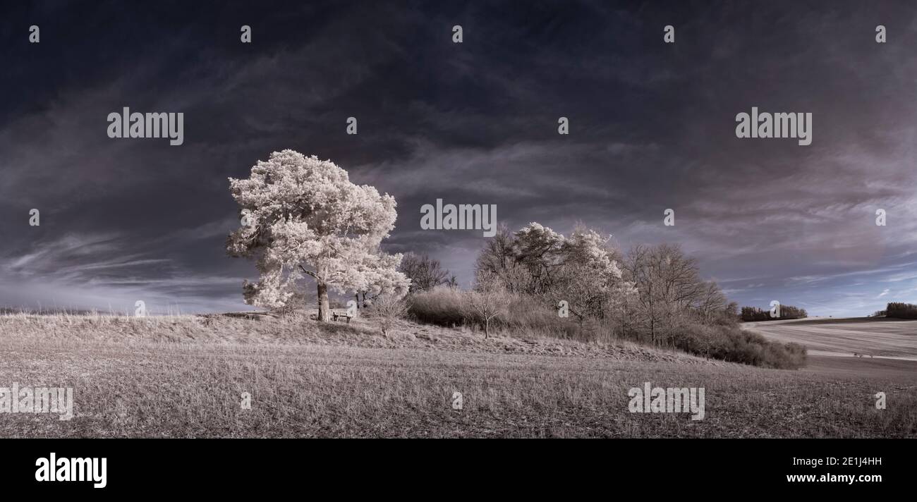 infrared photography - ir photo of landscape with tree under sky with ...