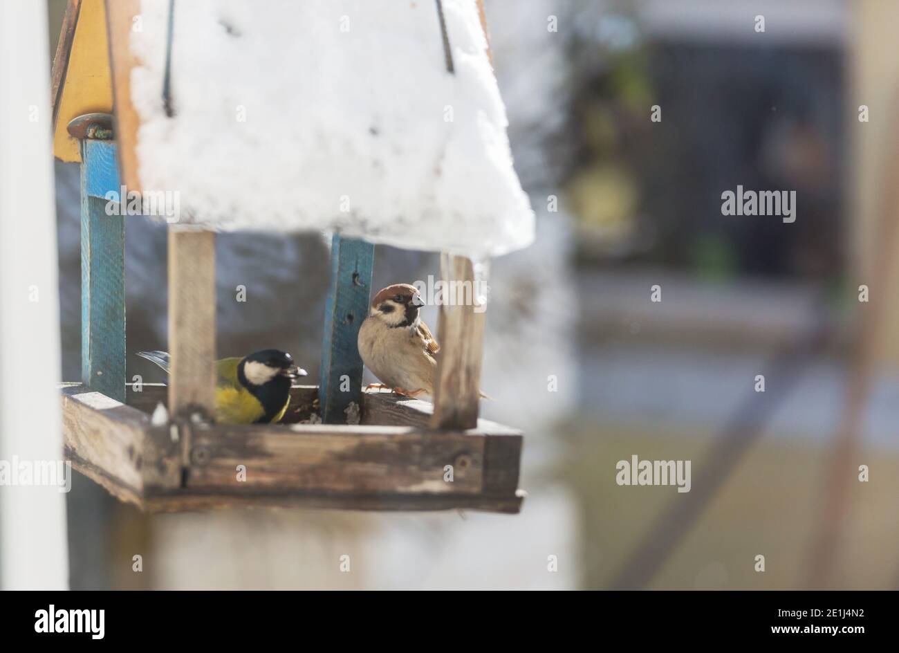 Garden trough winter hi-res stock photography and images - Alamy