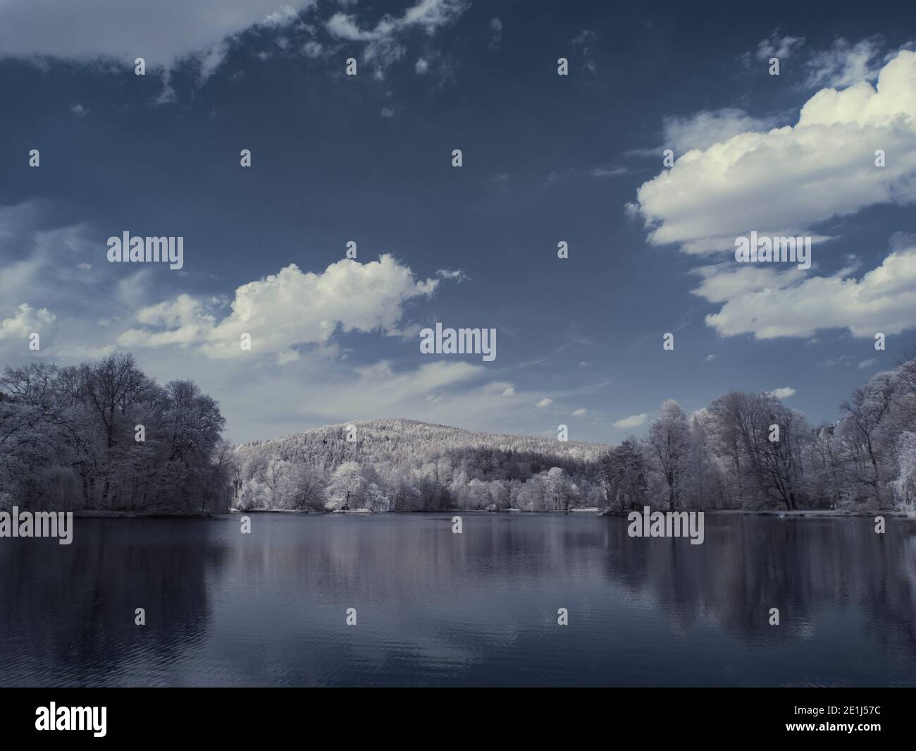 infrared photography - ir photo of landscape with tree under sky with ...