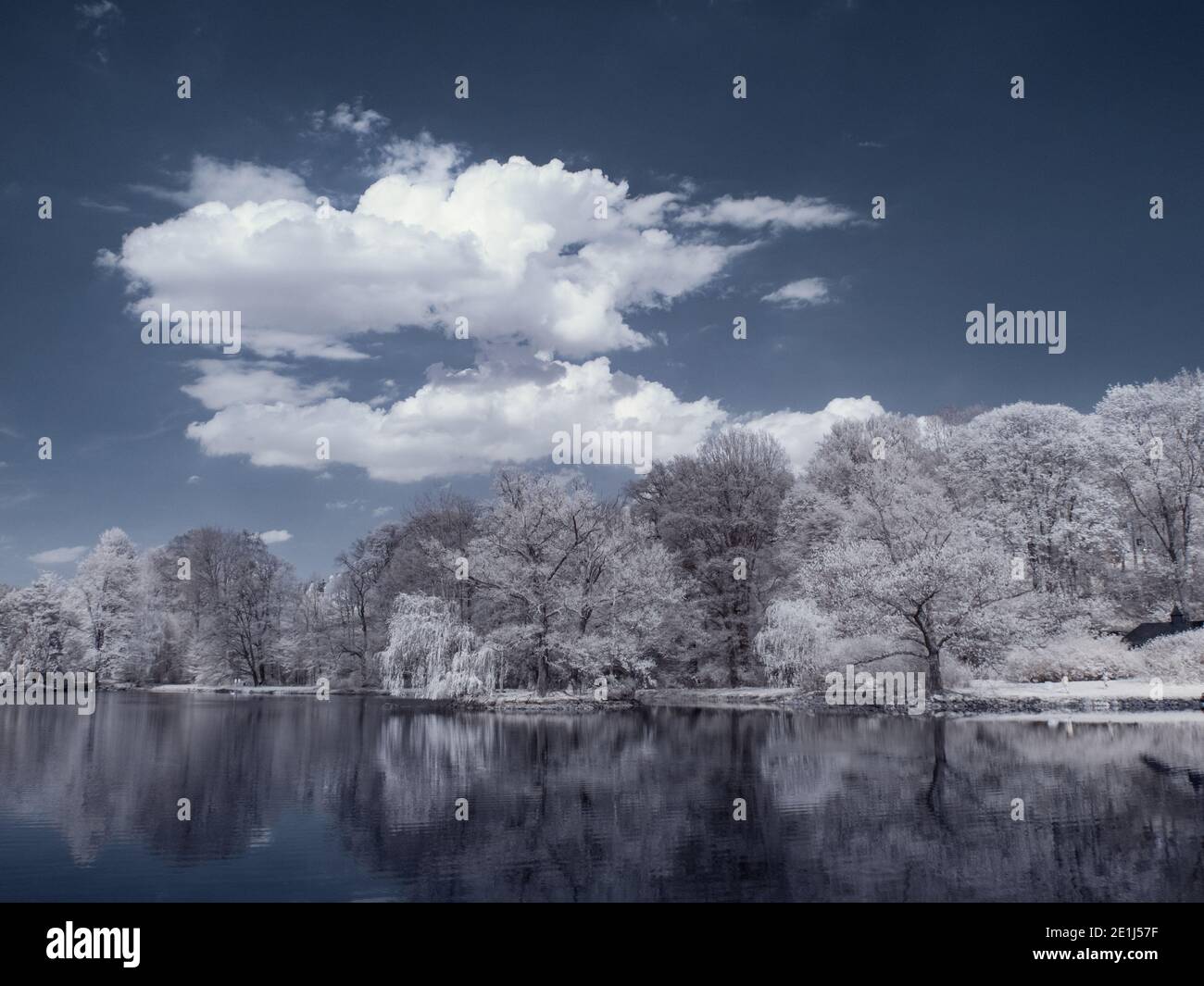 infrared photography - ir photo of landscape with tree under sky with ...