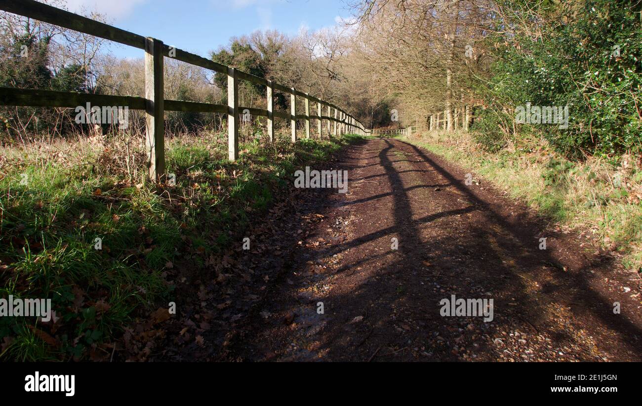 View of country lane on sunny winters day with fence leading to ...