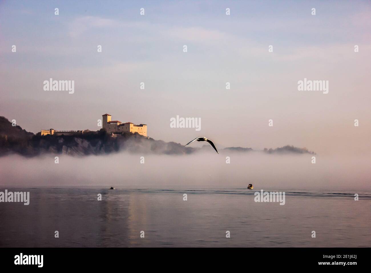 Lake Maggiore (Arona Stock Photo - Alamy