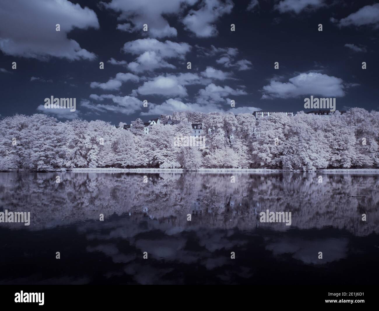 infrared photography - ir photo of landscape with tree under sky with ...