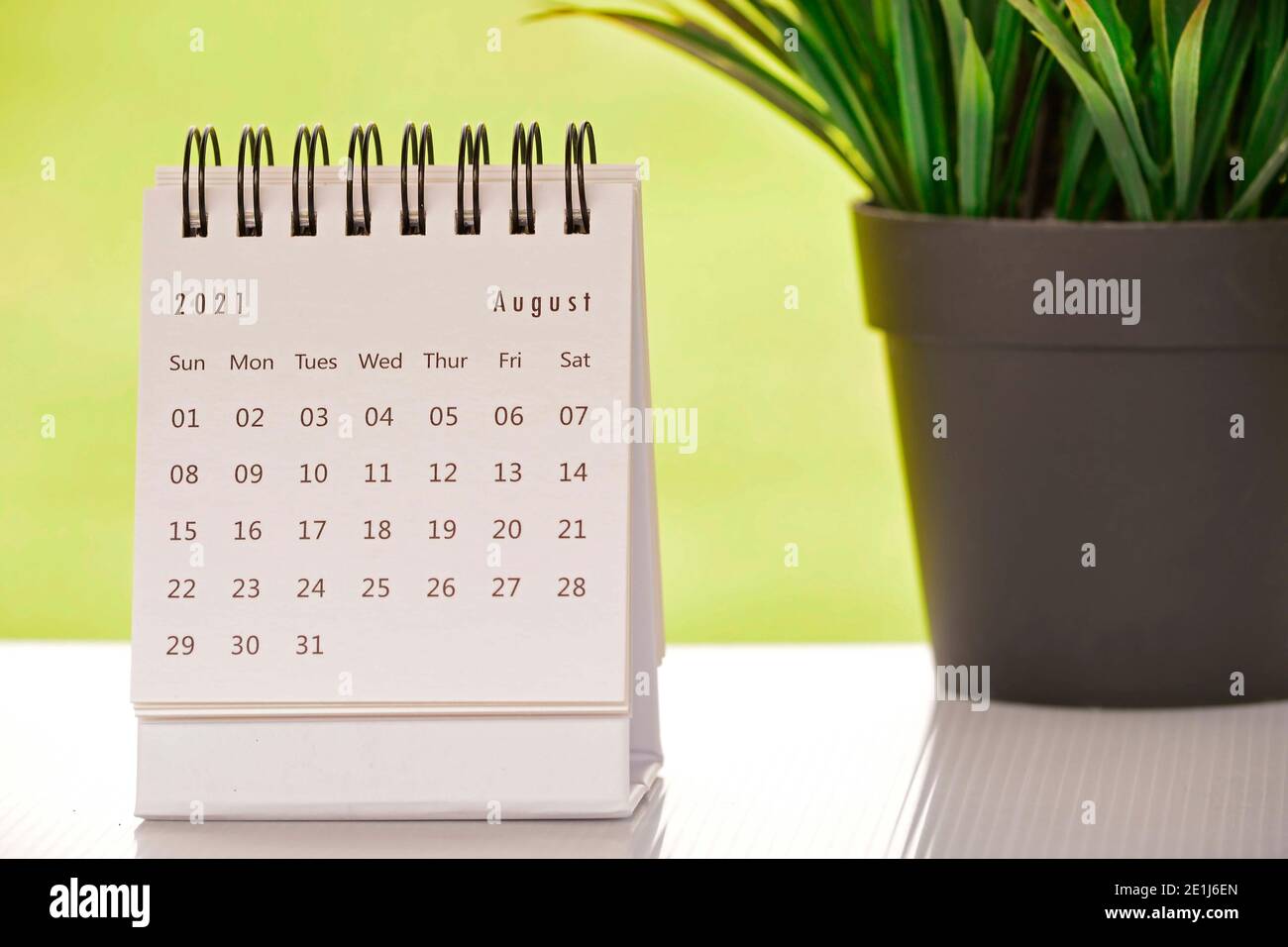 White August 2021 calendar with green backgrounds and potted plant ...