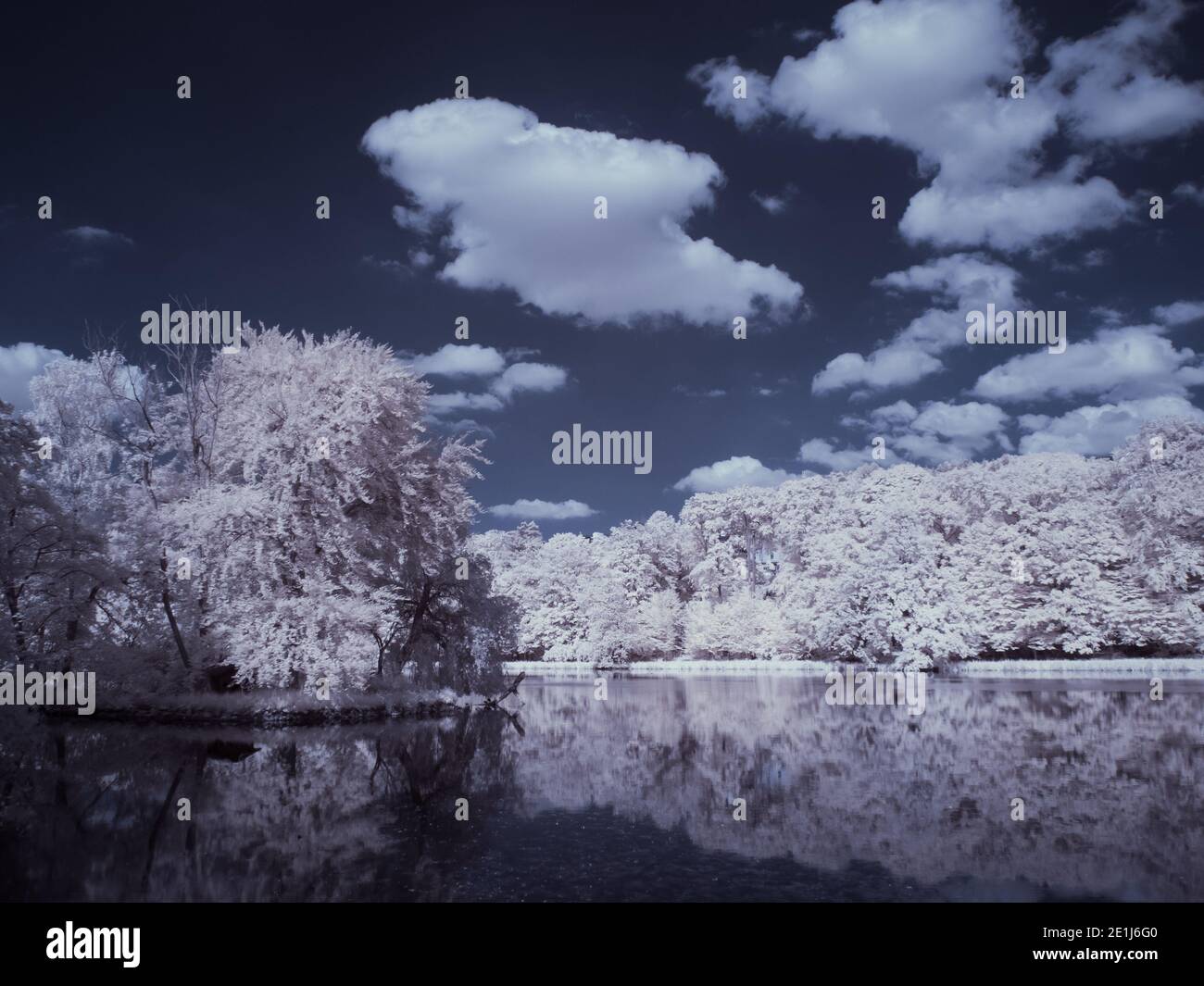 infrared photography - ir photo of landscape with tree under sky with ...