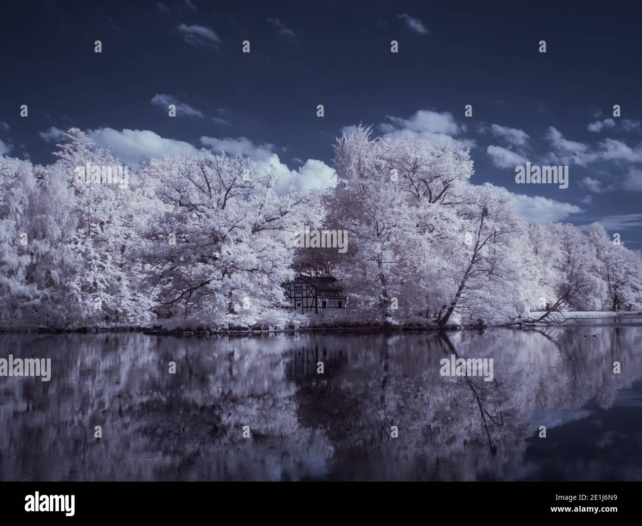 infrared photography - ir photo of landscape with tree under sky with ...
