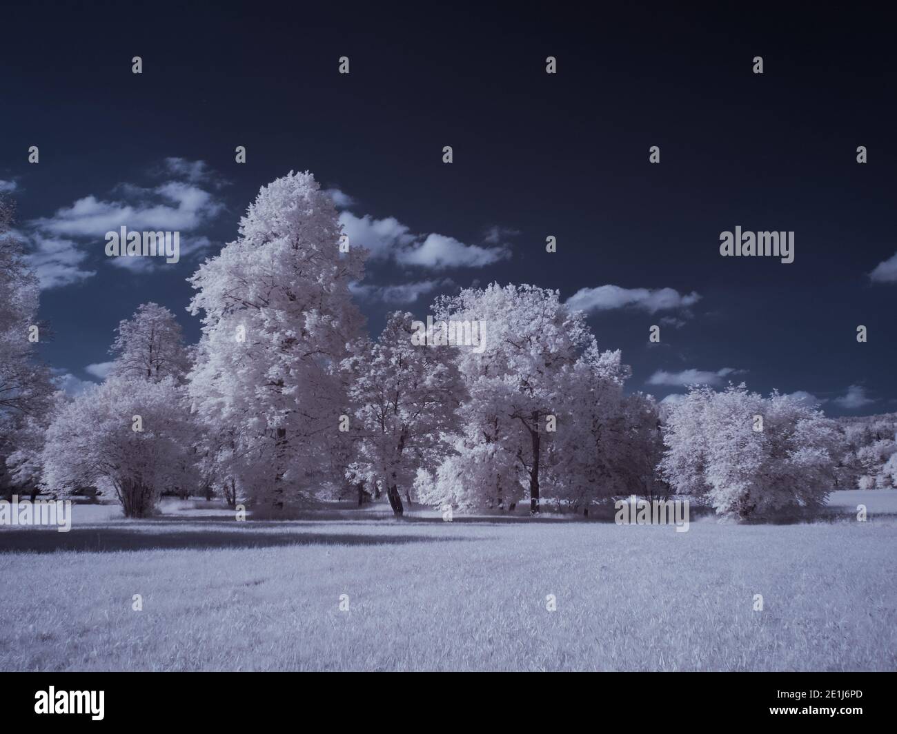 infrared photography - ir photo of landscape with tree under sky with ...