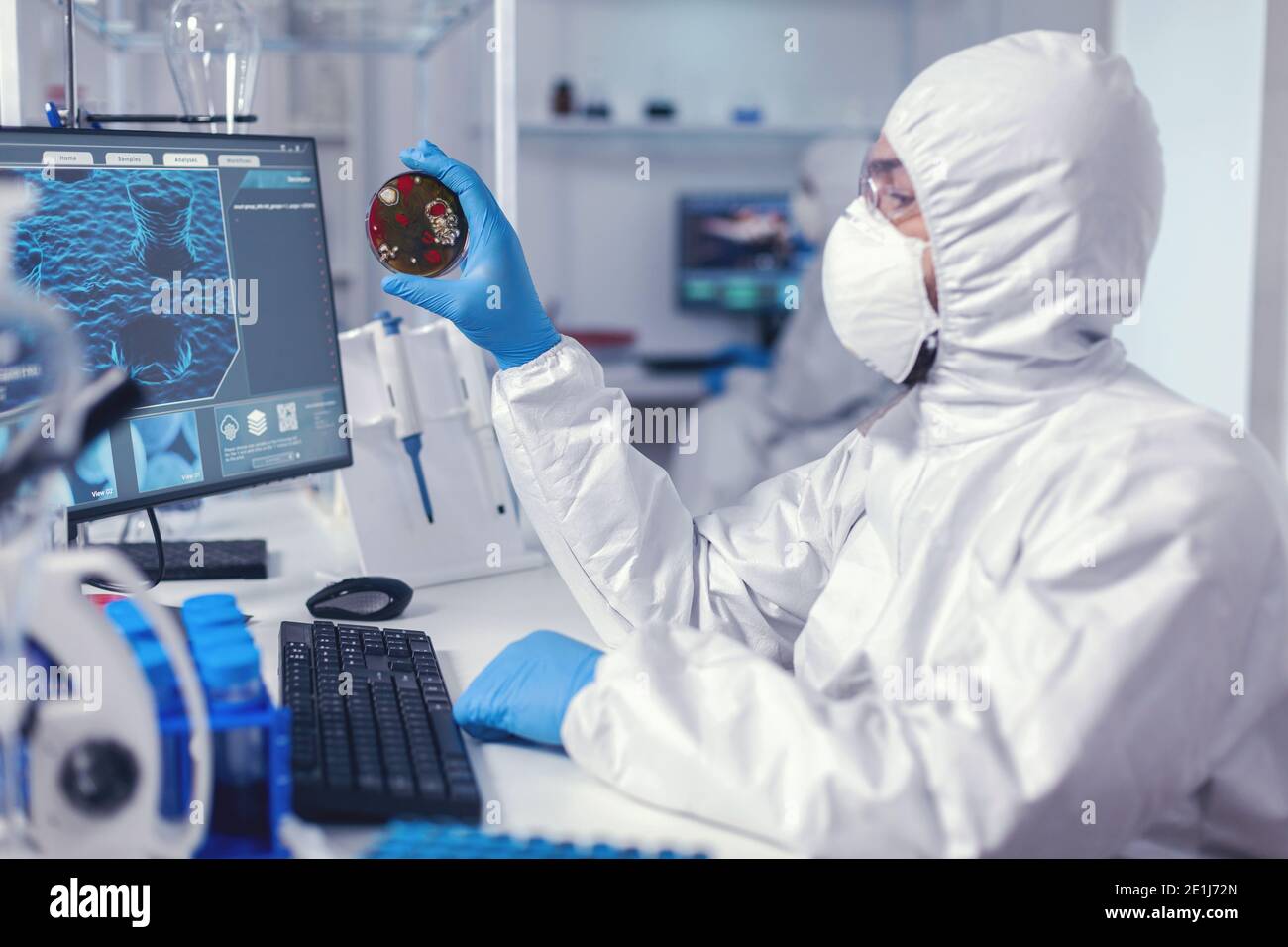 Scientist examining solution in petri dish in laboratory dressed in ppe ...
