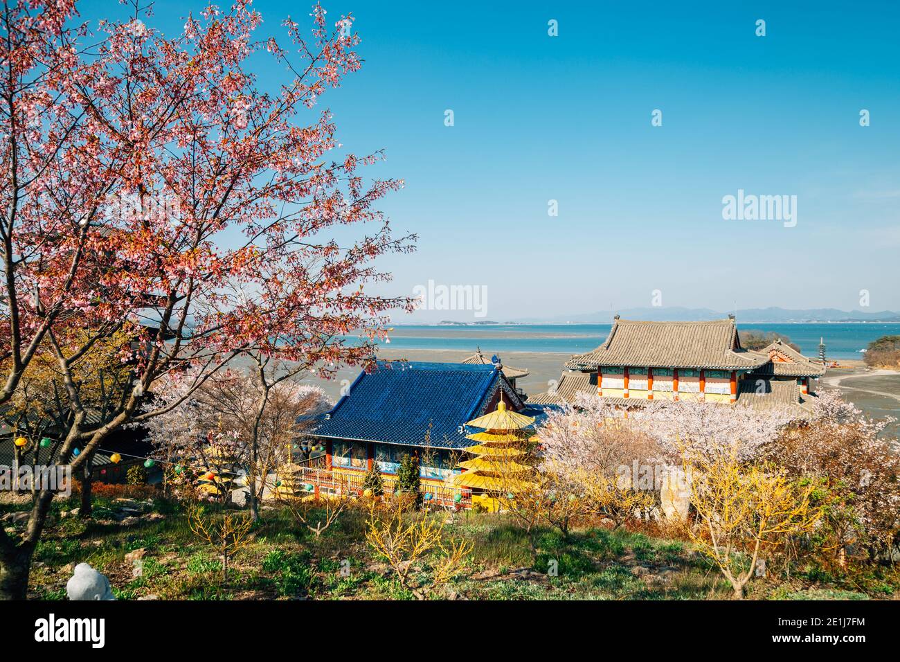 Panorama view of Anmyeonam temple and sea at spring in Anmyeondo Island ...