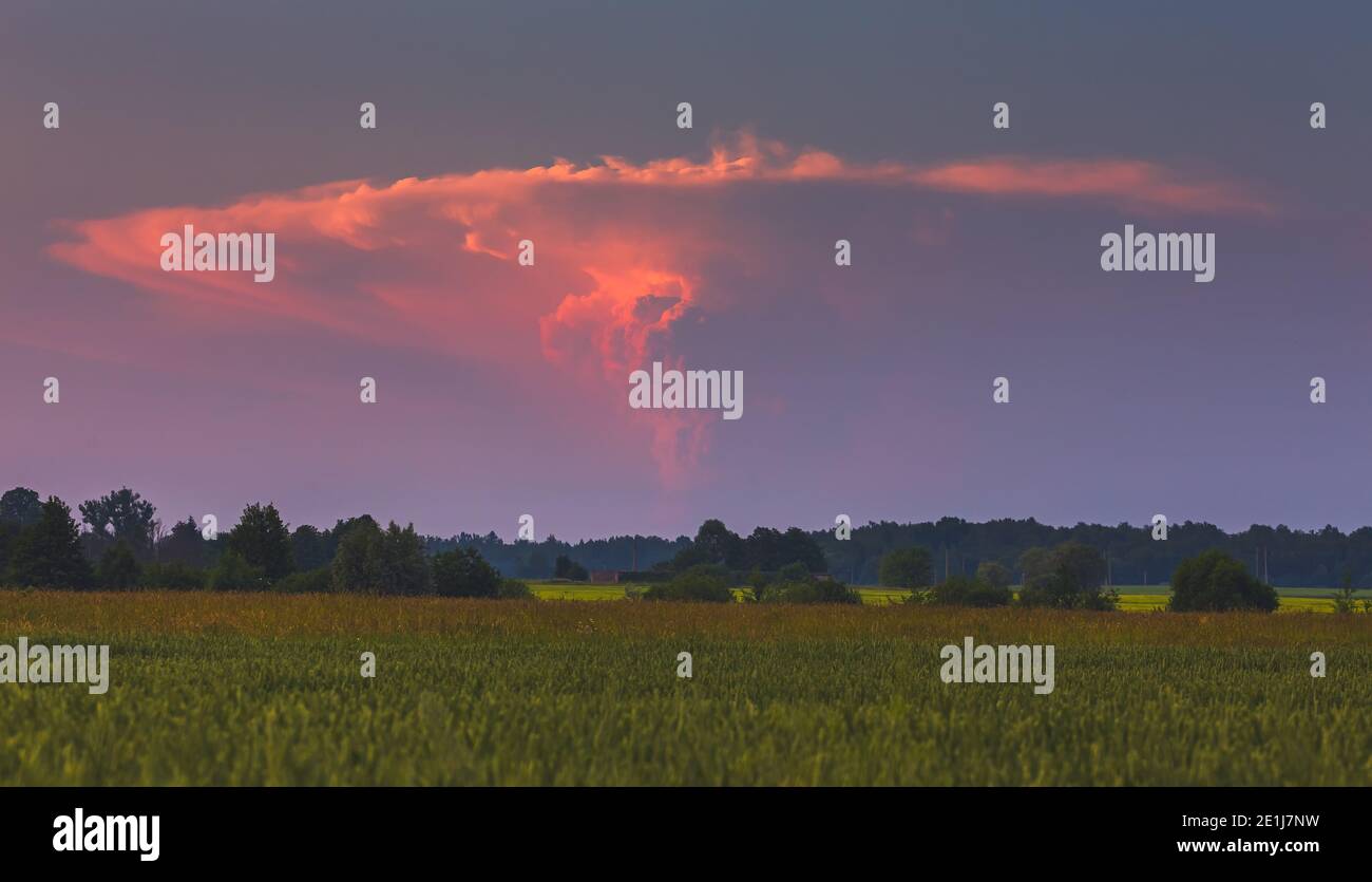 Cumulonimbus storm cloud rising in the sky, a powerfull updraft ...