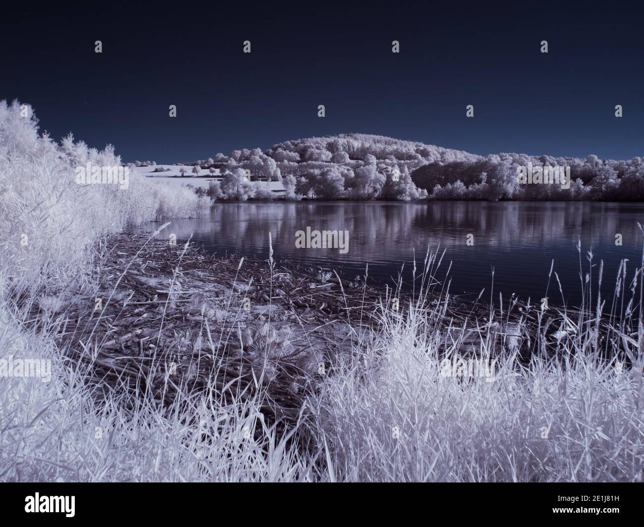 infrared photography - ir photo of landscape with tree under sky with ...