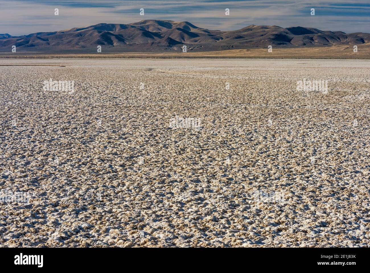 Eight mile flat hi-res stock photography and images - Alamy