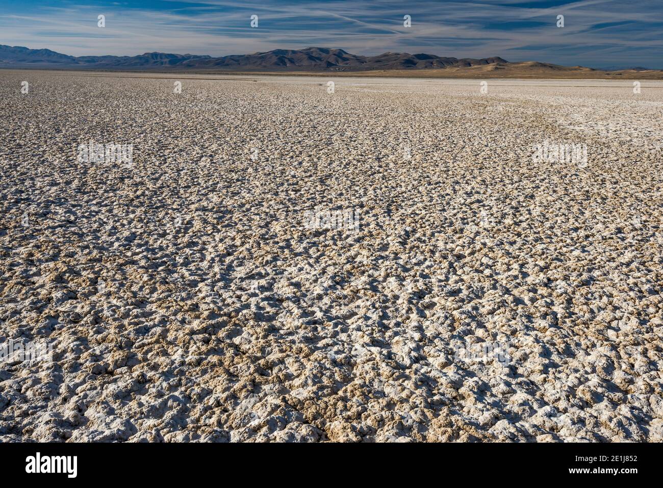 Eight mile flat hi-res stock photography and images - Alamy
