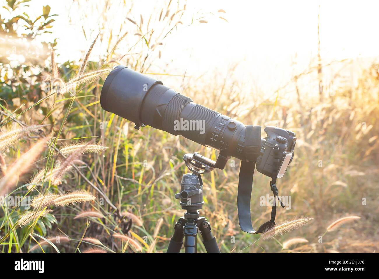 Super lens hi-res stock photography and images - Alamy
