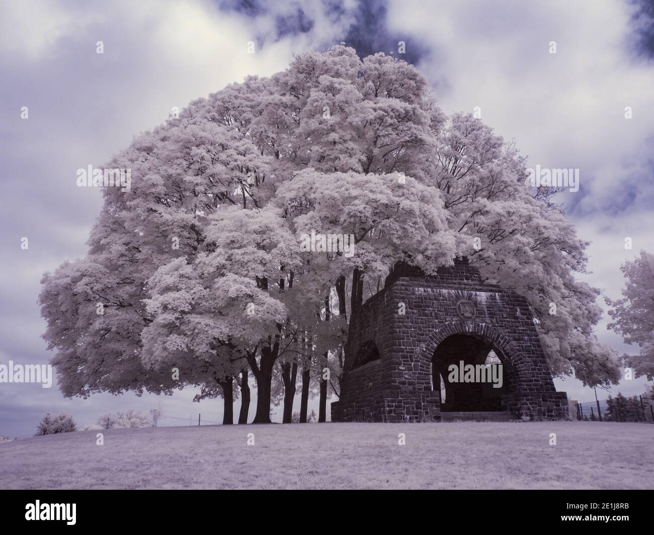 infrared photography - ir photo of landscape with tree under sky with ...