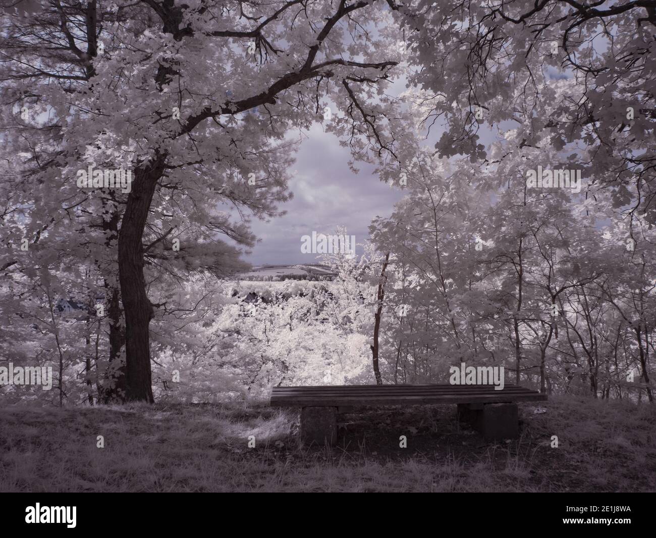 infrared photography - ir photo of landscape with tree under sky with ...