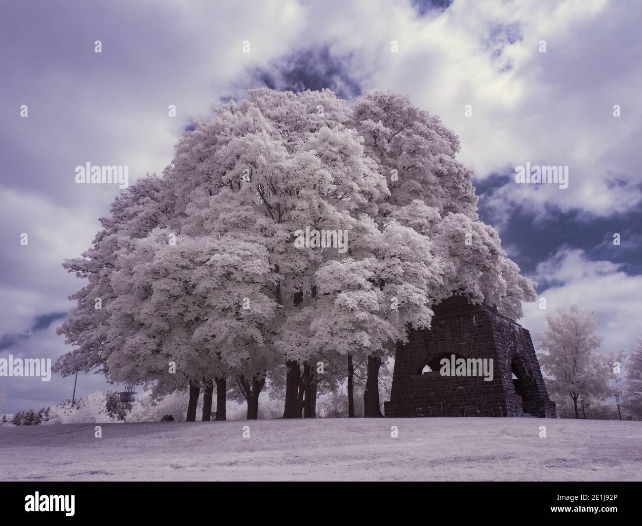 infrared photography - ir photo of landscape with tree under sky with ...
