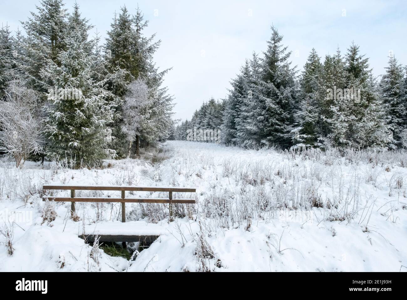 Auchengray, South Lanarkshire. Weather, 7th January, 2021: Snow scene ...