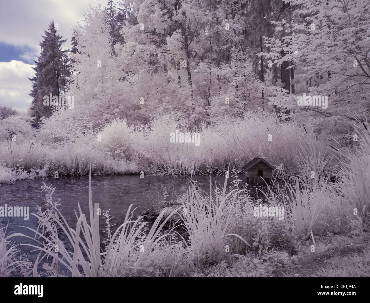 infrared photography - ir photo of landscape with tree under sky with ...
