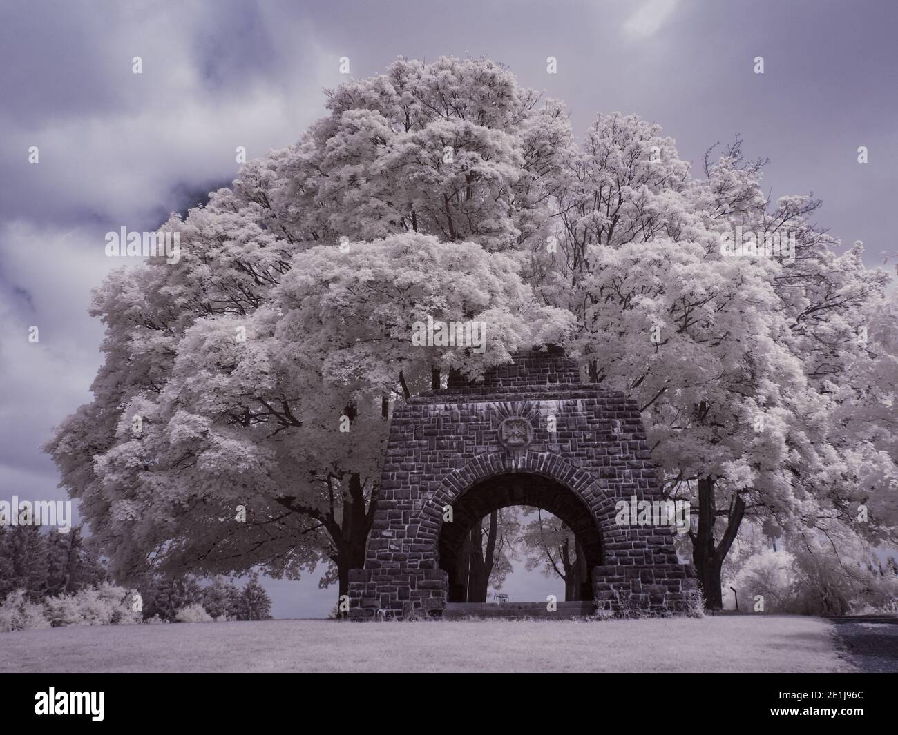 infrared photography - ir photo of landscape with tree under sky with ...