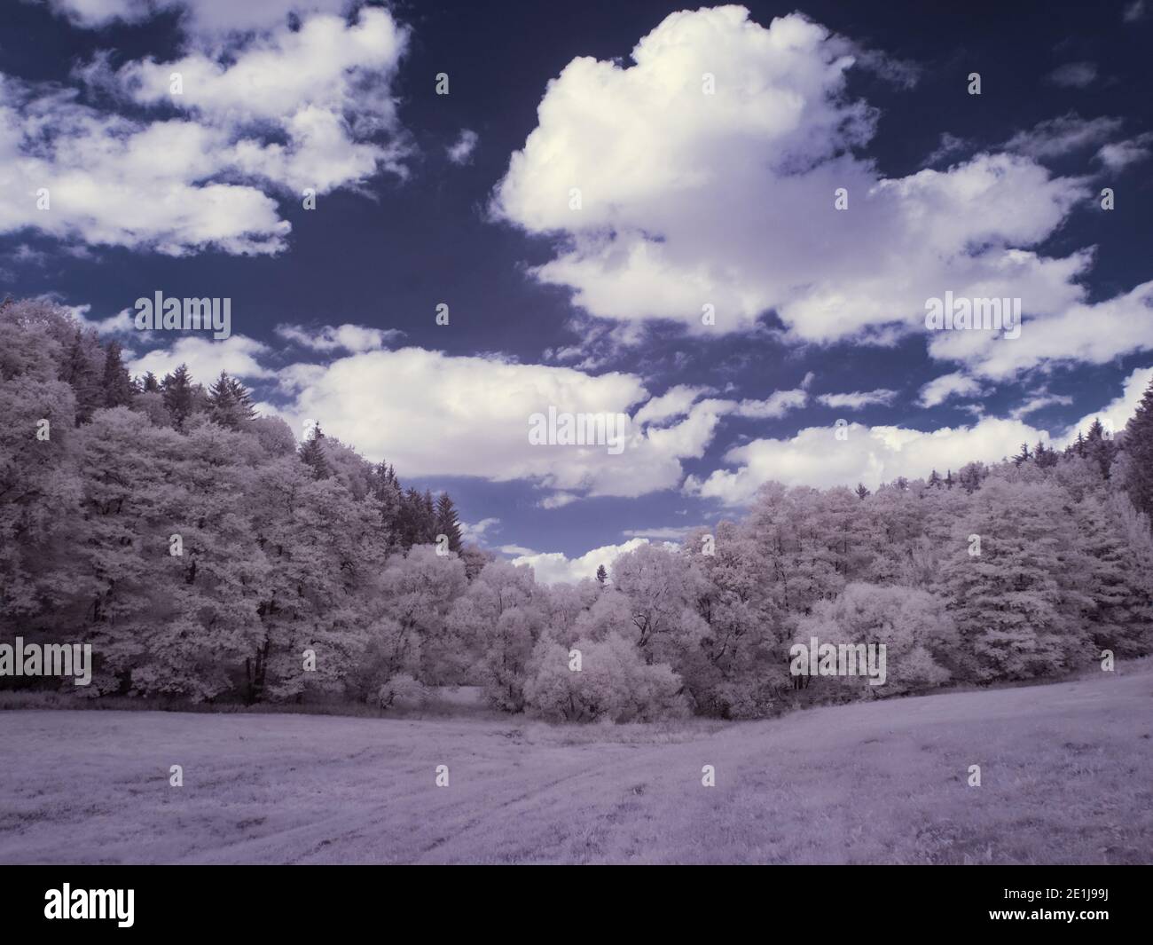 infrared photography - ir photo of landscape with tree under sky with ...