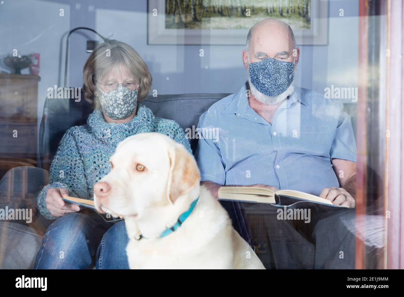 Reading a book with her labrador hi-res stock photography and images ...