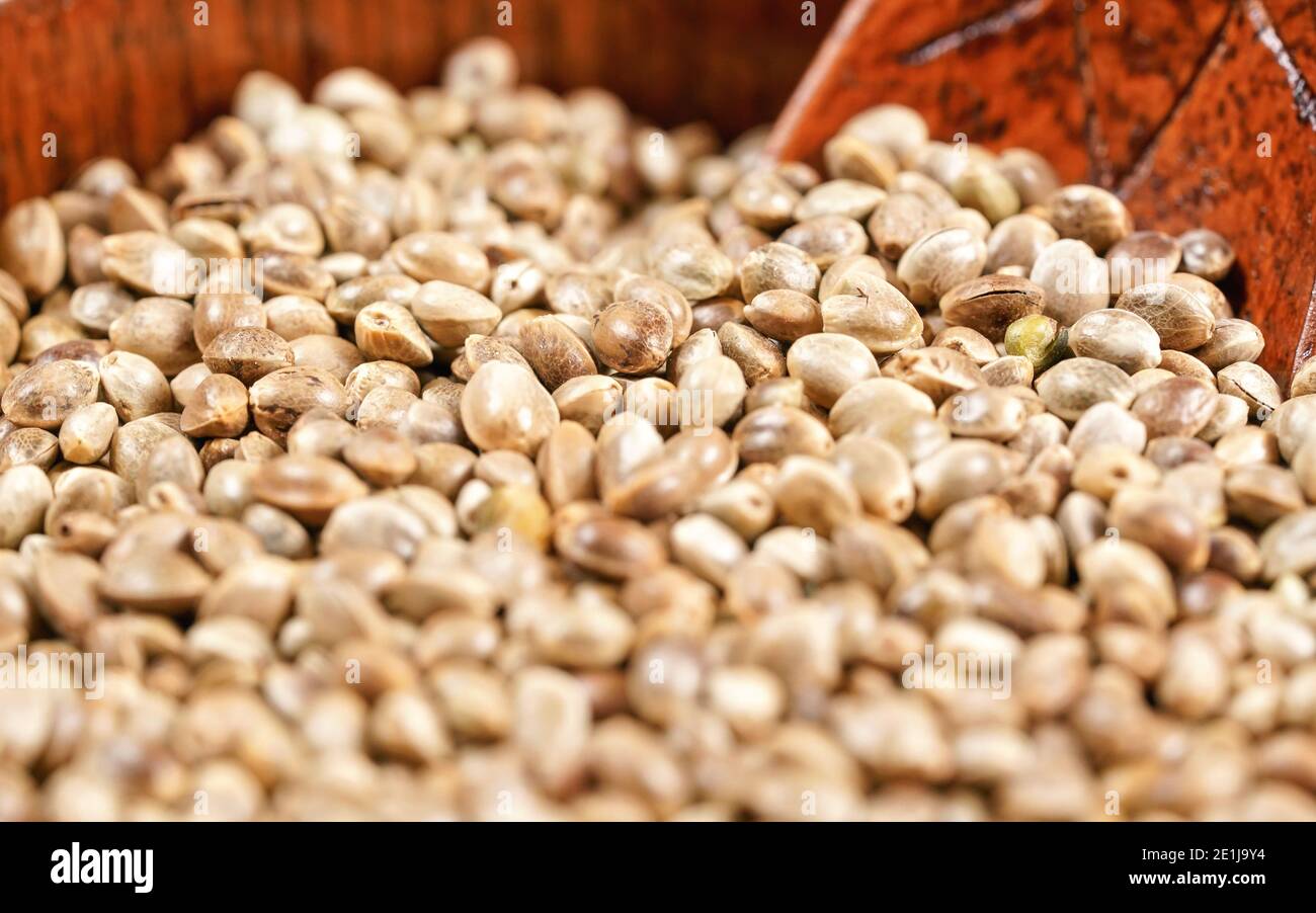 Cannabis cup hi-res stock photography and images - Alamy