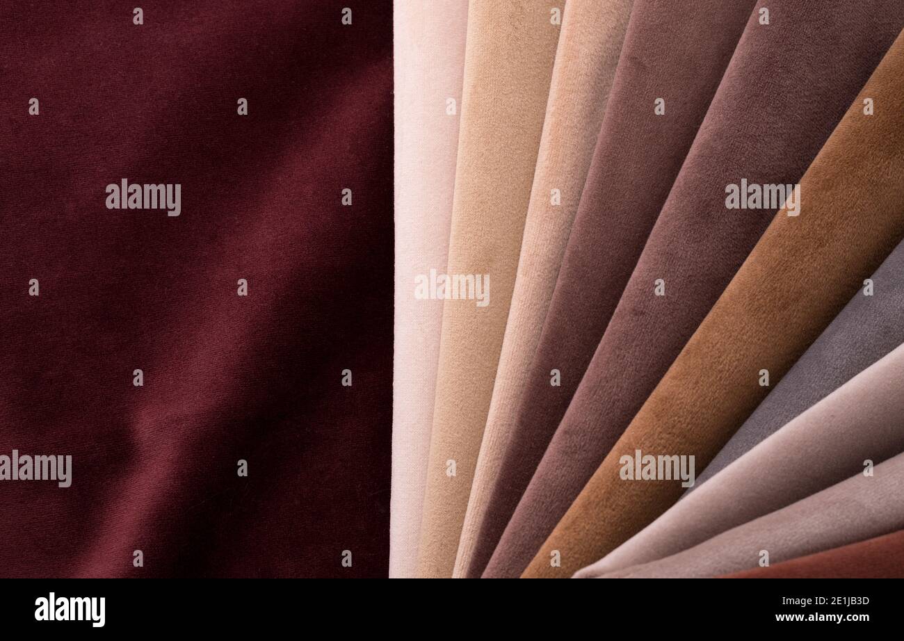 Light Set Sail Champagne and chocolate colors velour textile samples ...