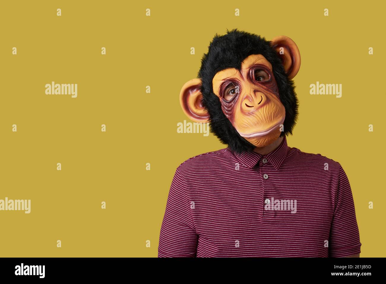 portrait of a man wearing a monkey mask on a yellow background with ...