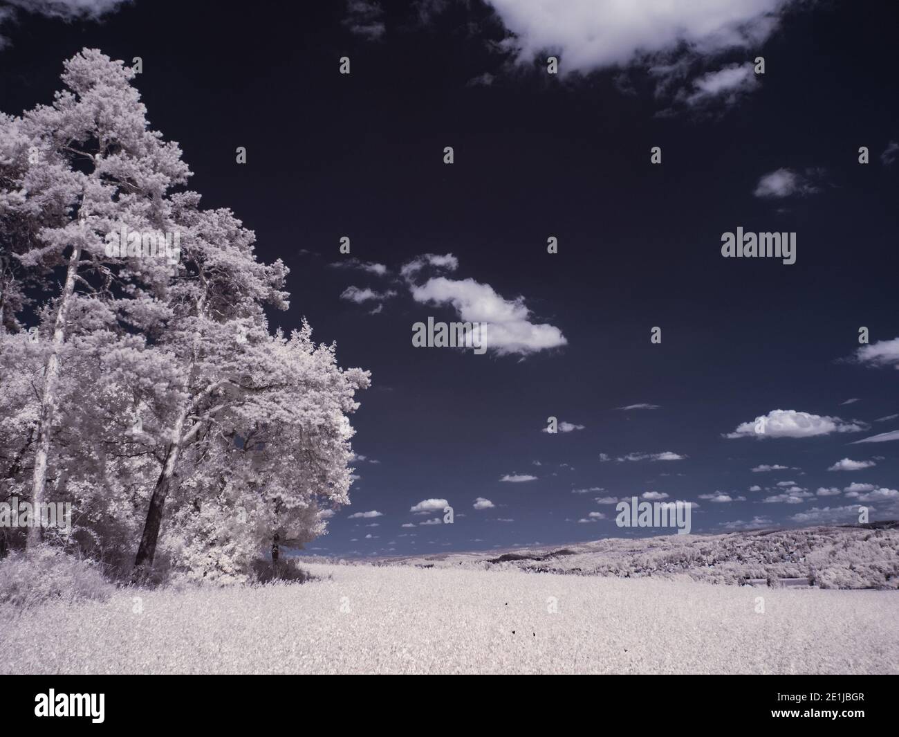 infrared photography - ir photo of landscape with tree under sky with ...