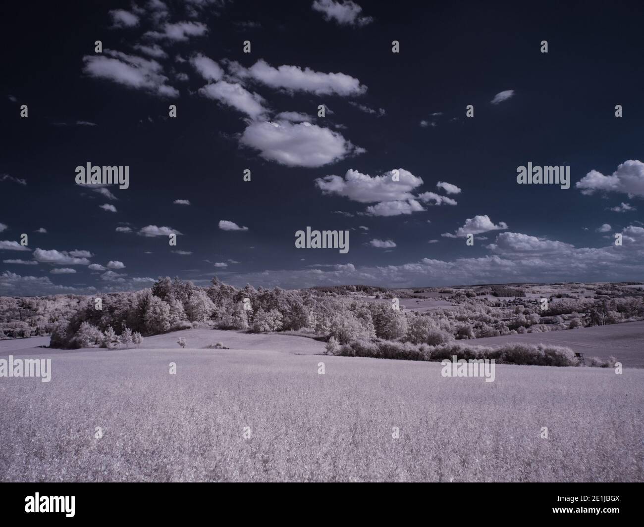 infrared photography - ir photo of landscape with tree under sky with ...