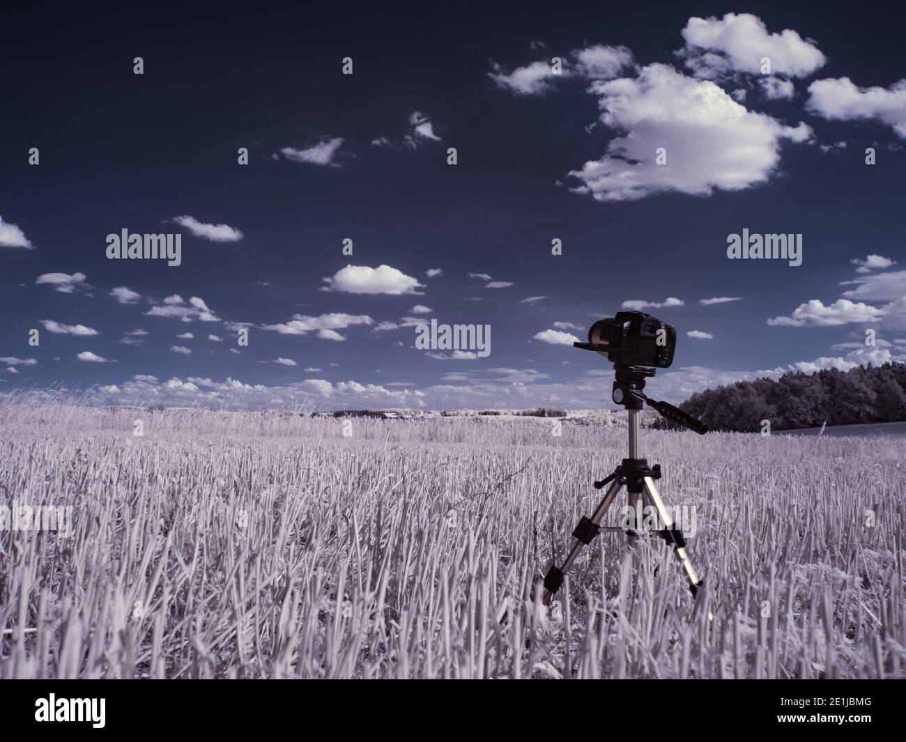 infrared photography - ir photo of landscape with tree under sky with ...