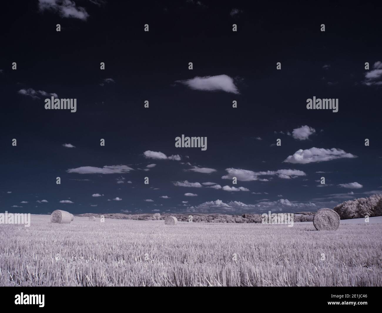 infrared photography - ir photo of landscape with tree under sky with ...