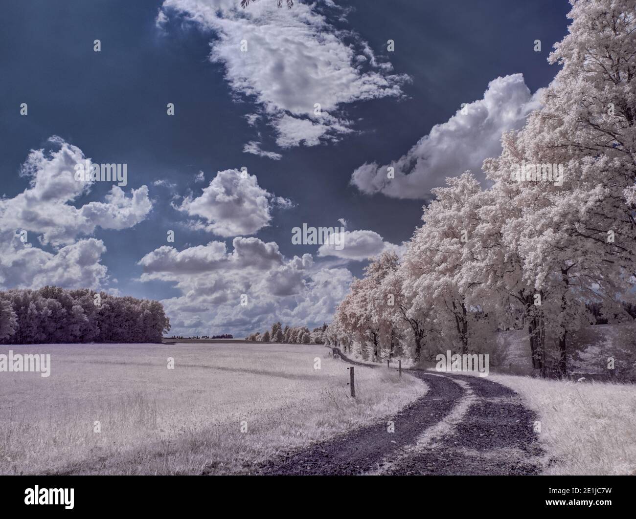 infrared photography - ir photo of landscape with tree under sky with ...