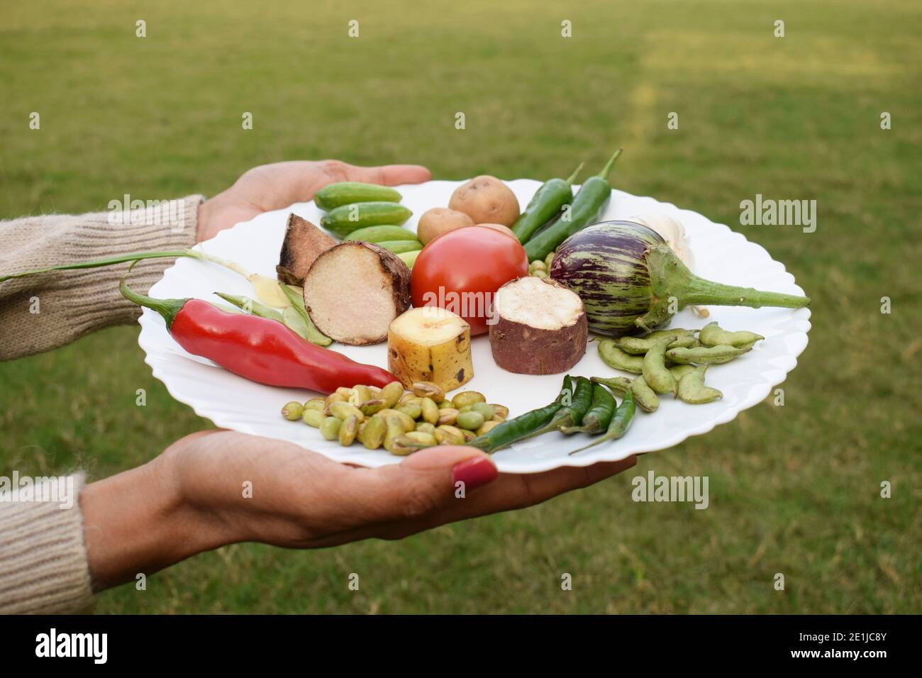 Potato valor hi-res stock photography and images - Alamy