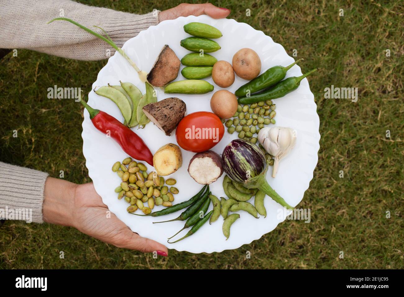 Potato valor hi-res stock photography and images - Alamy