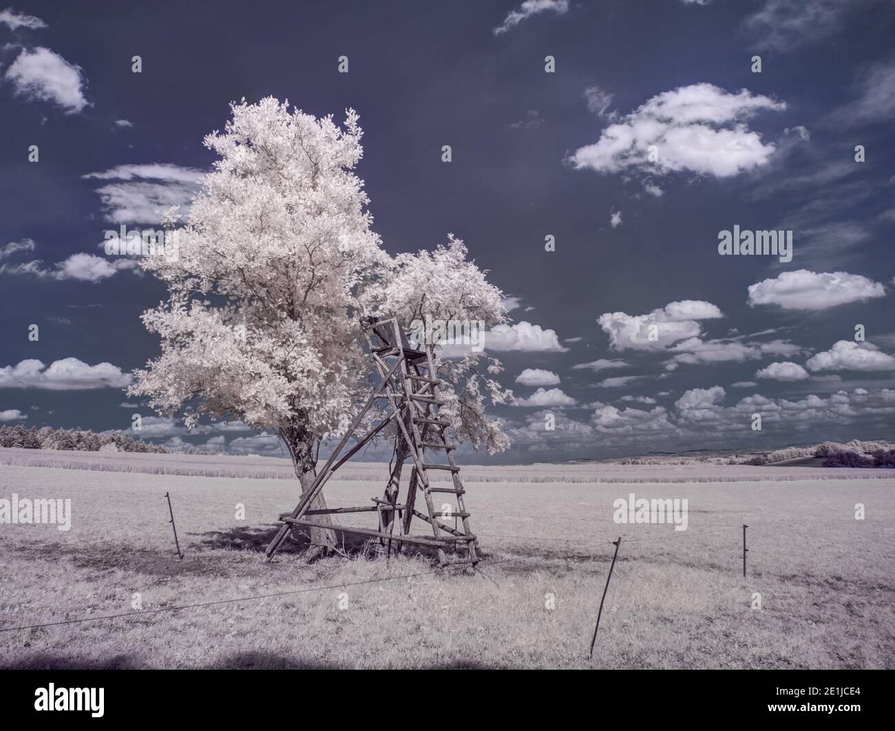 infrared photography - ir photo of landscape with tree under sky with ...