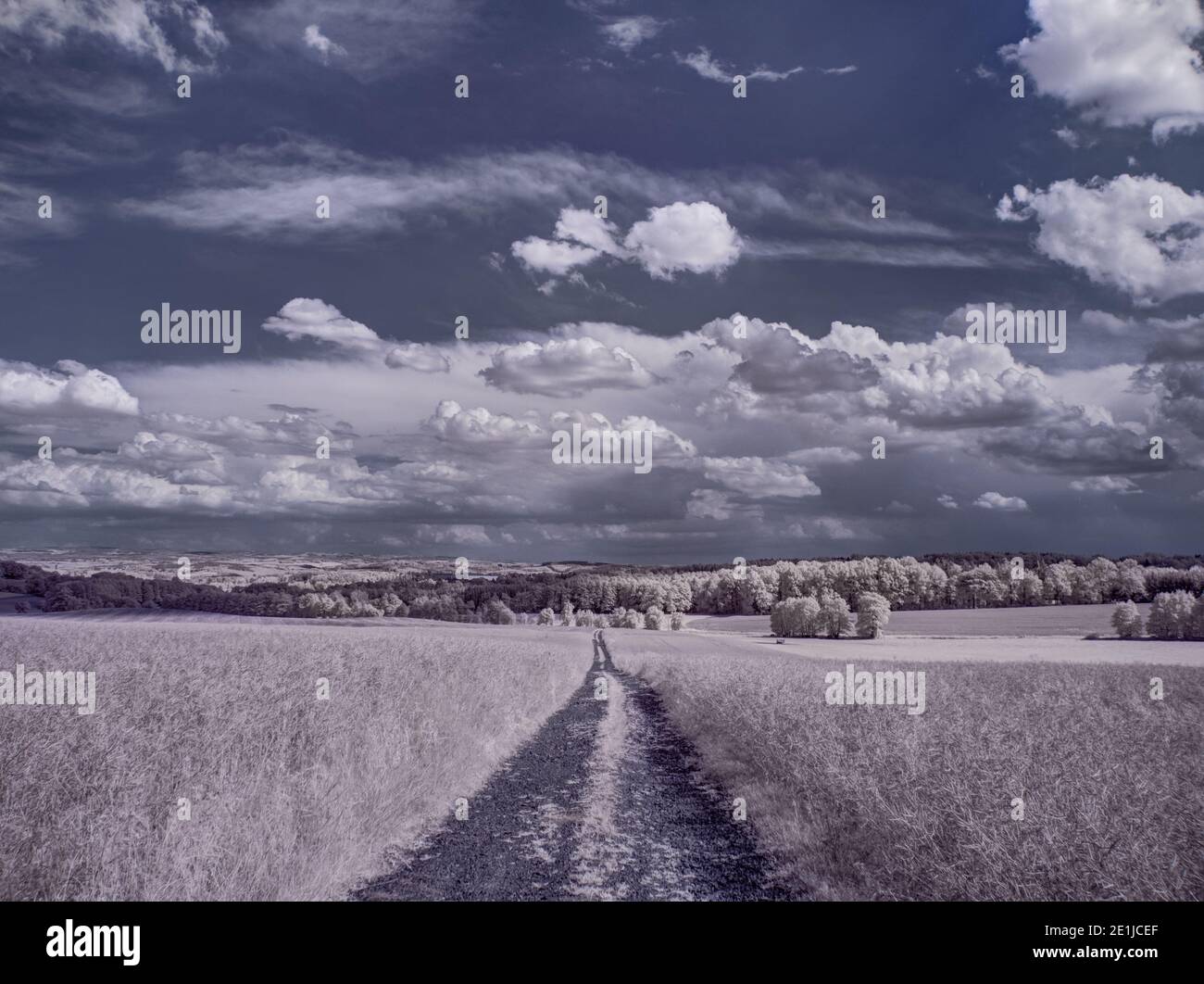 infrared photography - ir photo of landscape with tree under sky with ...