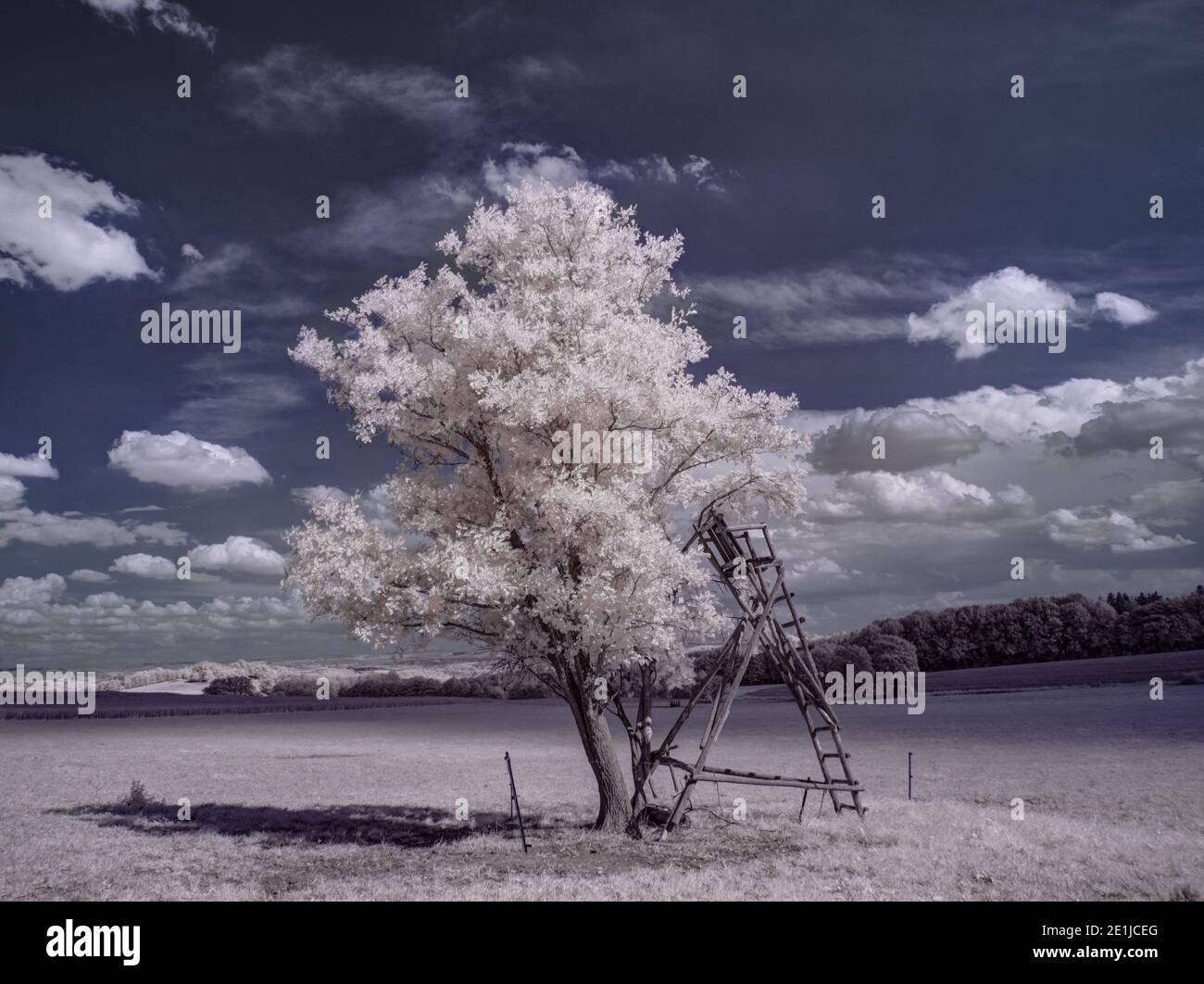 infrared photography - ir photo of landscape with tree under sky with ...